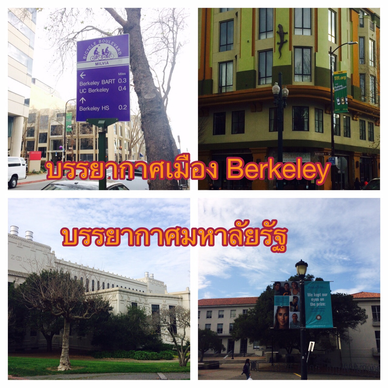 มหาวิทยาลัยแคลิฟอร์เนีย เบิร์กลีย์ ,UC Berkeley Extension